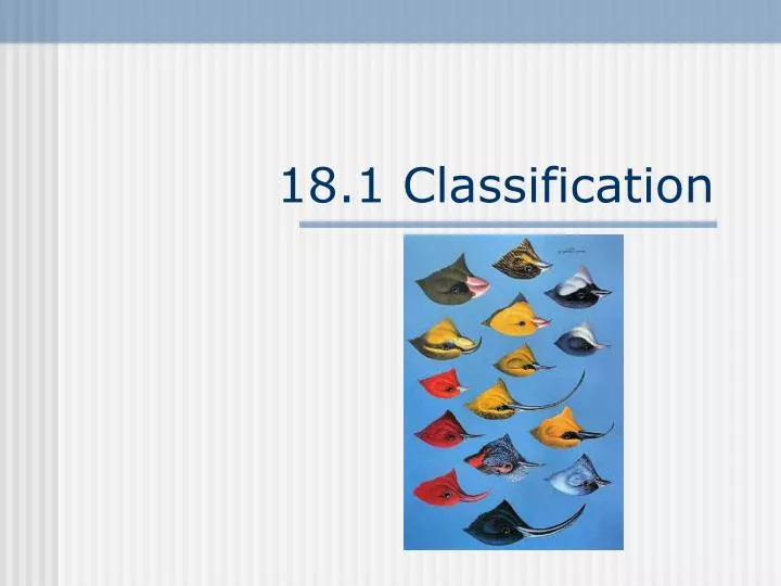 PPT - 18.1 Classification PowerPoint Presentation, free download - ID ...