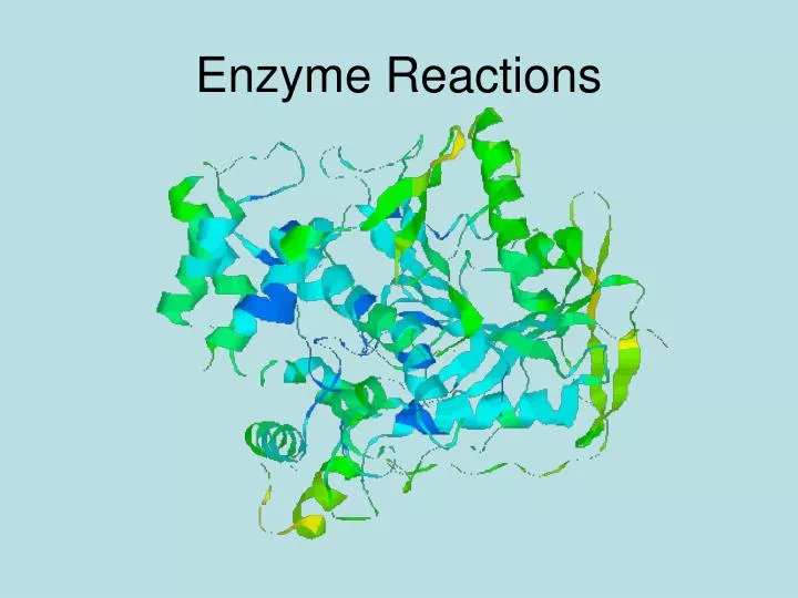 PPT - Enzyme Reactions PowerPoint Presentation, free download - ID:6187421