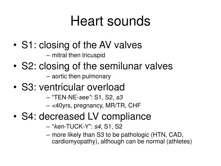 Timing Heart Sound at Isla Lascelles blog