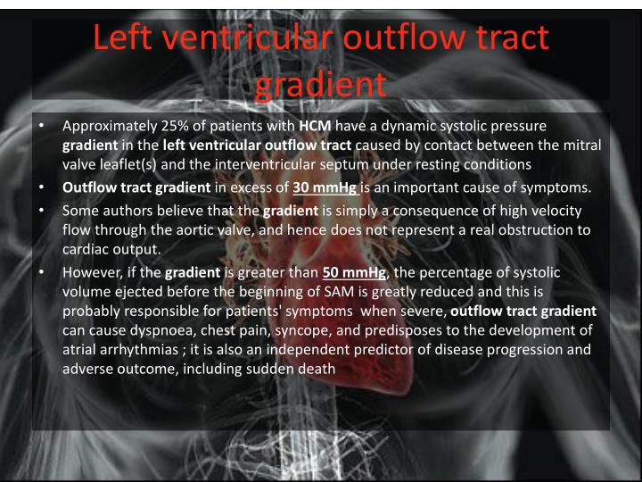 PPT - Hypertrophic cardiomyopathy PowerPoint Presentation - ID:6187668
