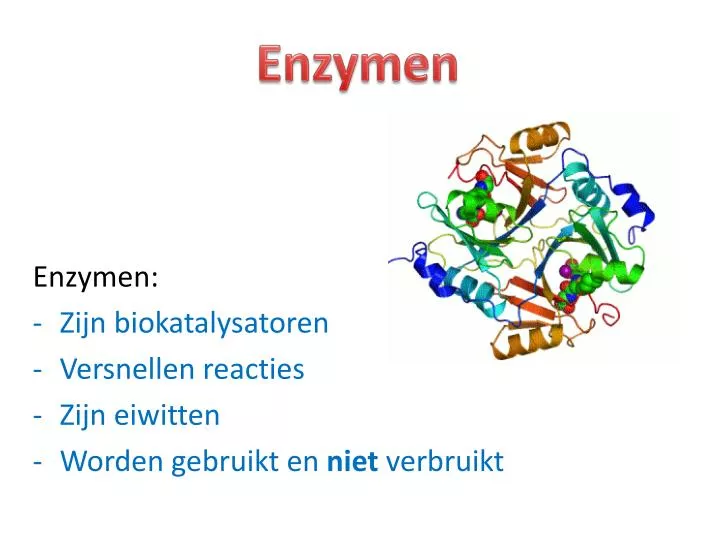 PPT - Enzymen : Zijn biokatalysatoren Versnellen reacties Zijn eiwitten ...