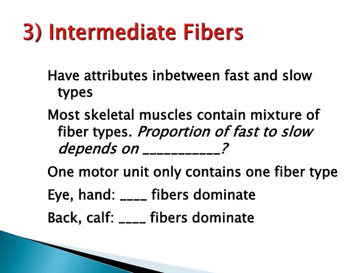 PPT - MUSLE PowerPoint Presentation - ID:6188846