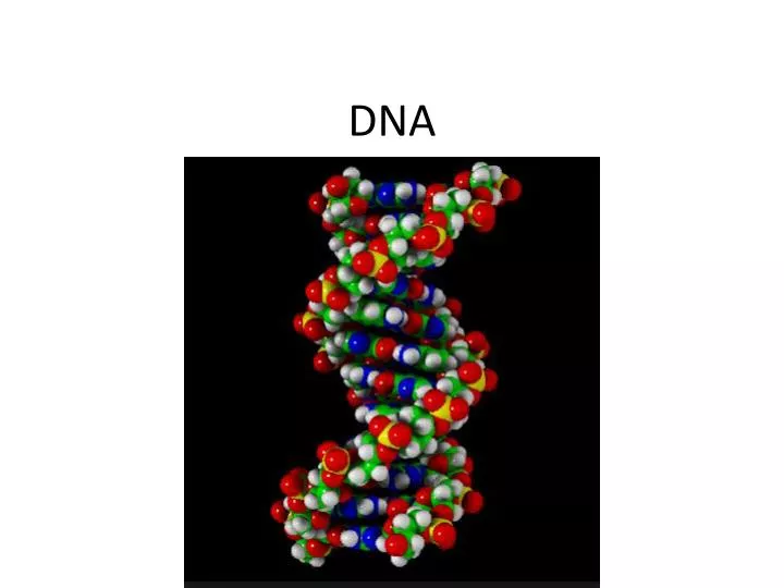 PPT - DNA PowerPoint Presentation, free download - ID:6189204