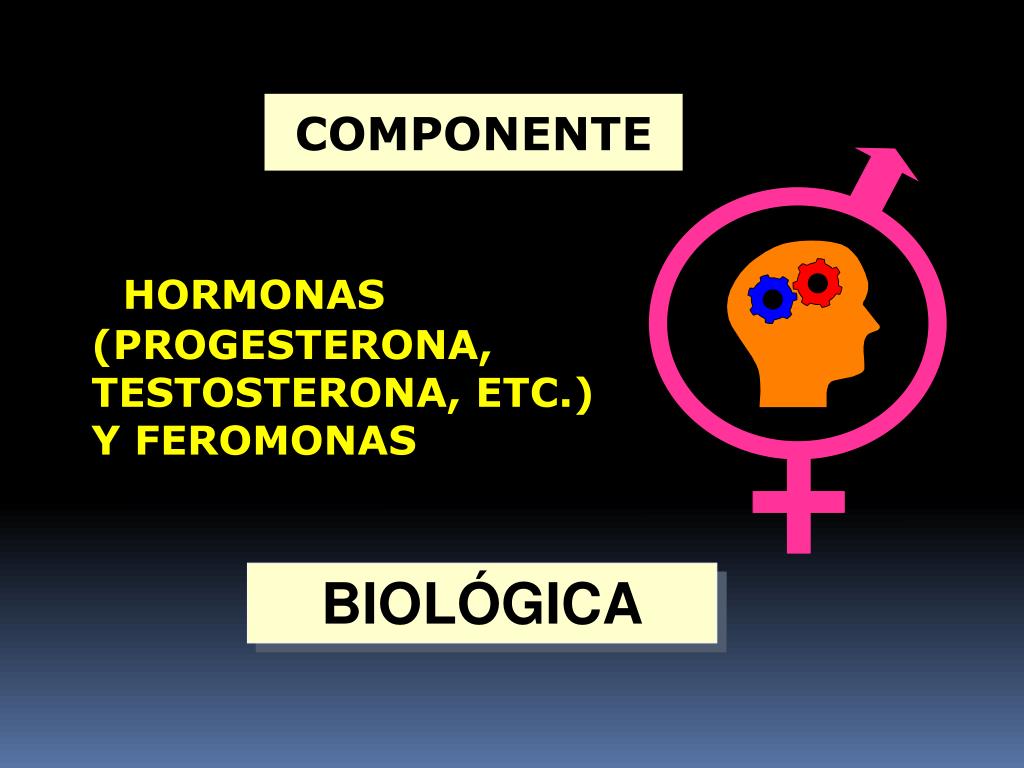 PPT - SEXUALIDAD HUMANA PowerPoint Presentation, free download - ID:6189482