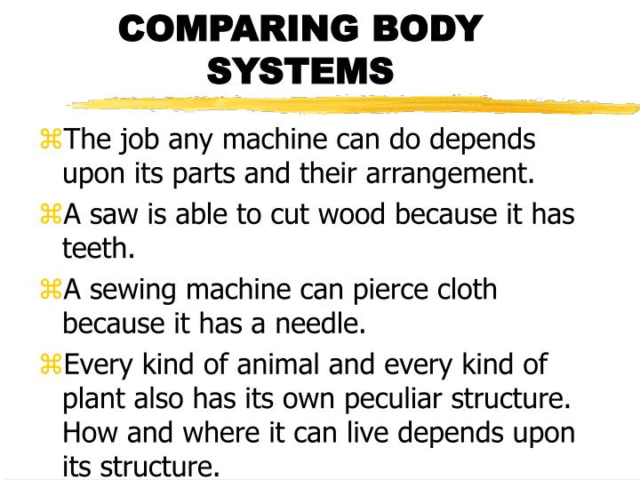 PPT - COMPARING VERTEBRATE BODY SYSTEMS PowerPoint Presentation - ID ...