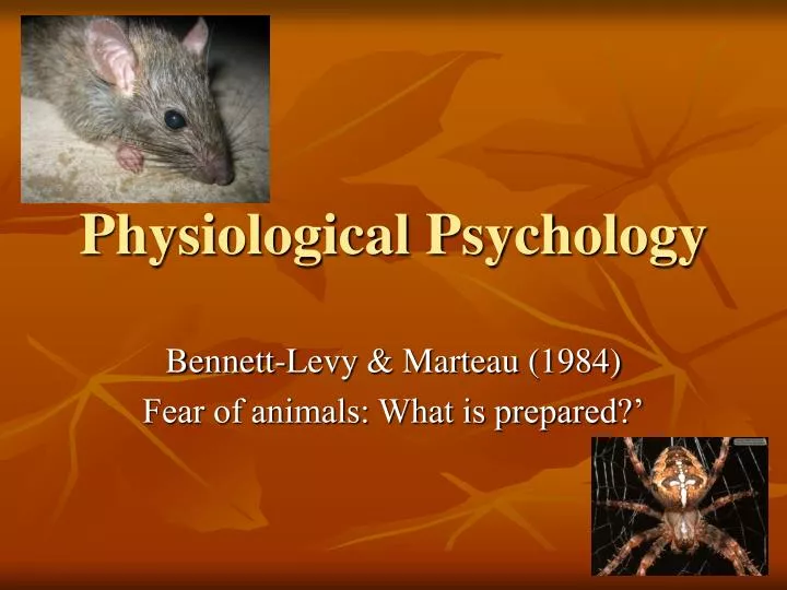 PPT - Physiological Psychology PowerPoint Presentation, free download ...