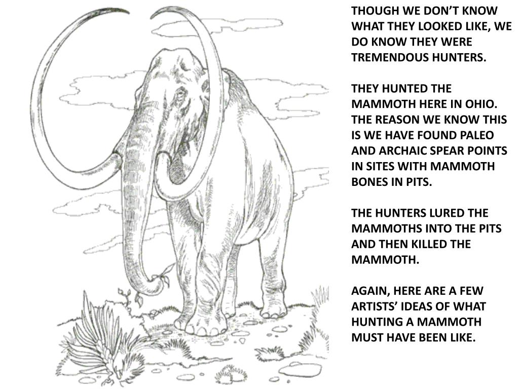 PPT - THIS PRESENTATION IS ABOUT THE PALEO AND ARCHAIC HUNTERS IN OHIO ...