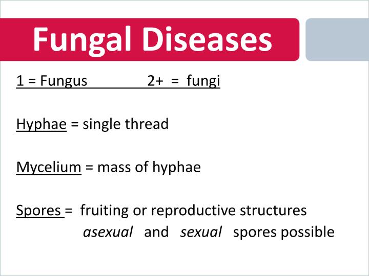 PPT - Plant Diseases PowerPoint Presentation - ID:6192133