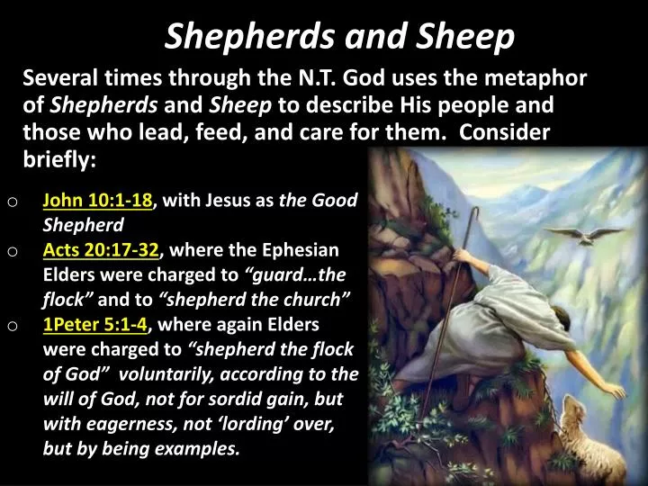 PPT - Shepherds and Sheep PowerPoint Presentation, free download - ID ...