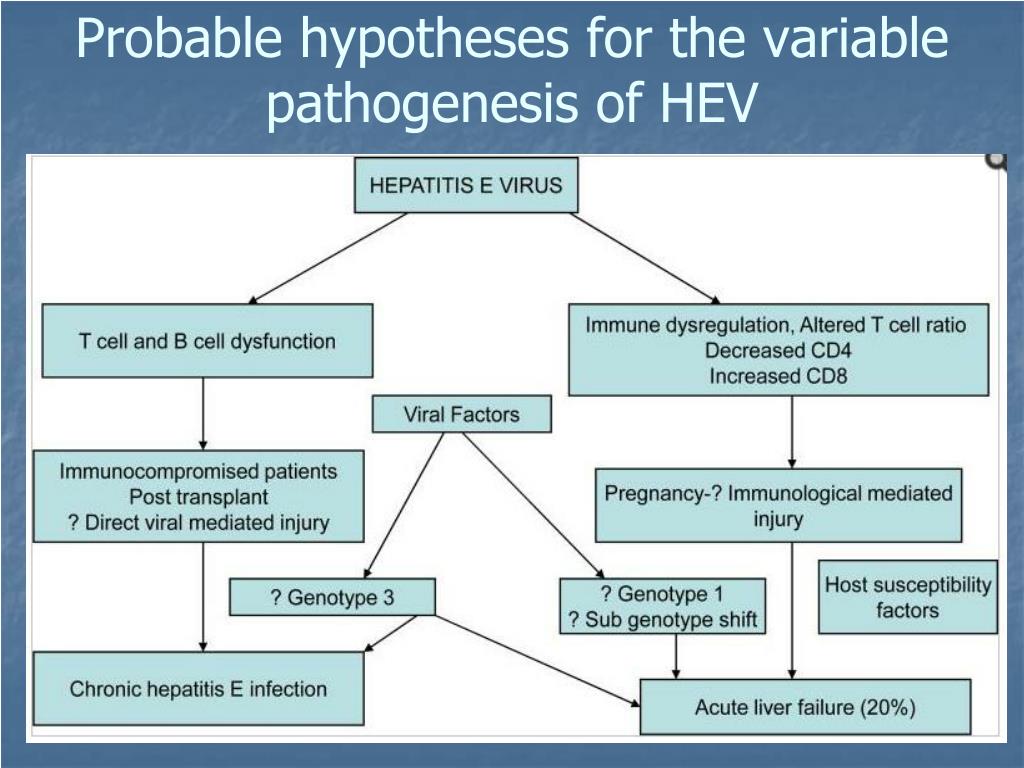 PPT - Management of liver diseases in pregnancy PowerPoint Presentation ...