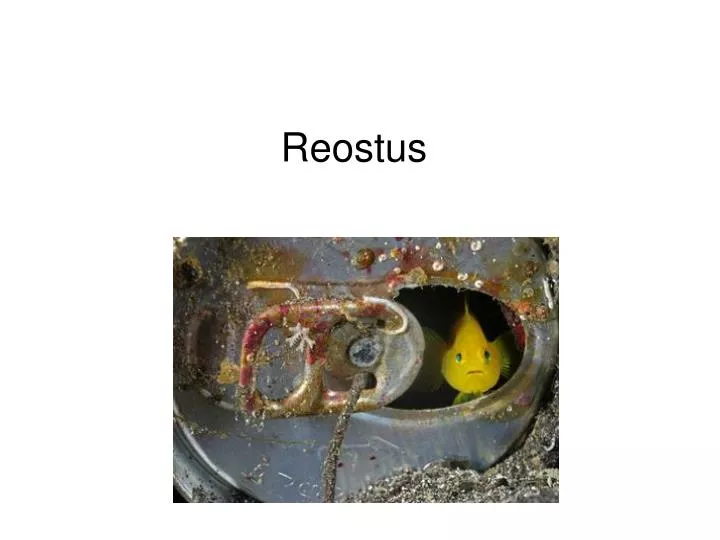 PPT - Reostus PowerPoint Presentation, free download - ID:6196960