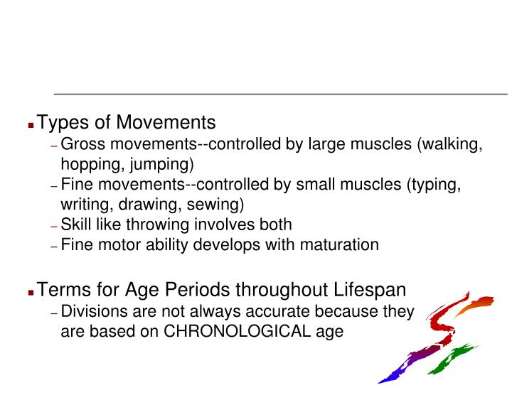 PPT - Introduction to Motor Development PowerPoint Presentation - ID ...