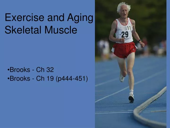 PPT - Exercise and Aging Skeletal Muscle PowerPoint Presentation, free ...