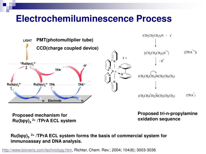 PPT - DNA Hybridization Detection - Electrochemiluminescence based DNA ...