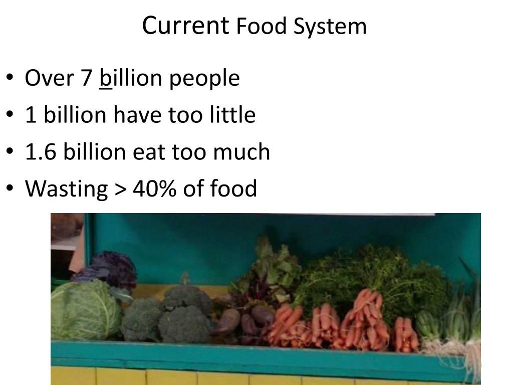 PPT - Extensive Land Use to Sustain Agriculture PowerPoint Presentation ...