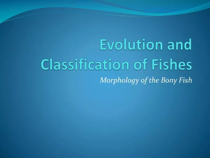 PPT - Evolution and Classification of Fishes PowerPoint Presentation ...
