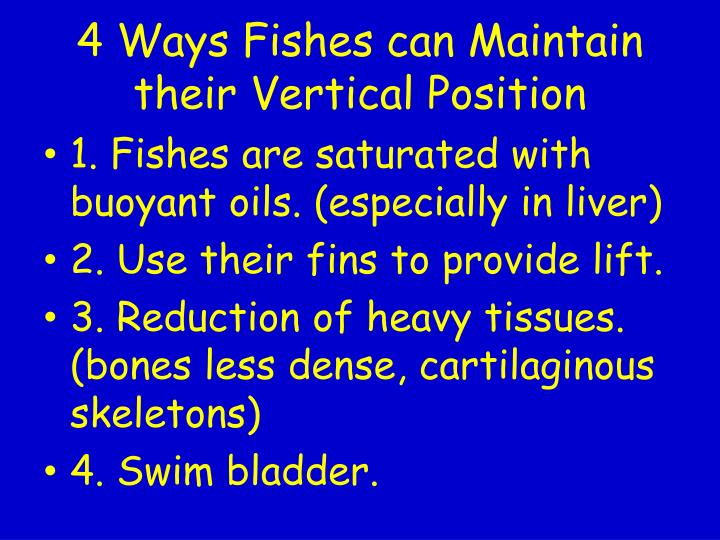 PPT - The Fishes: Vertebrate Success in Water PowerPoint Presentation ...