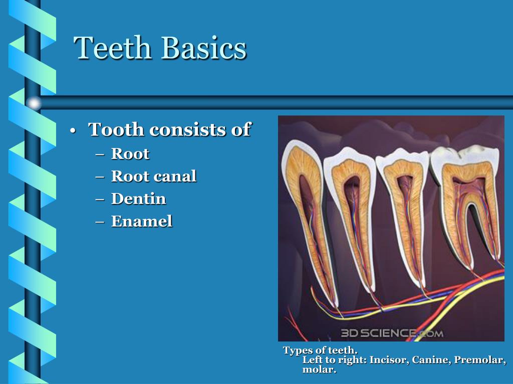 PPT - Medico-legal Investigation PowerPoint Presentation, free download ...