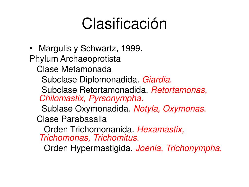 PPT - Zooflagelados pluriflagelados PowerPoint Presentation, free ...