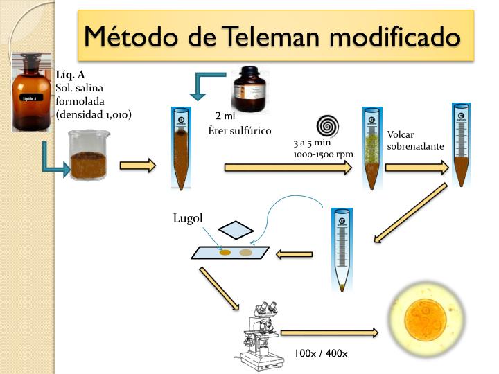 PPT - Esp. Graciela Rodriguez JTP. Curso Parasitología. UNSL ...