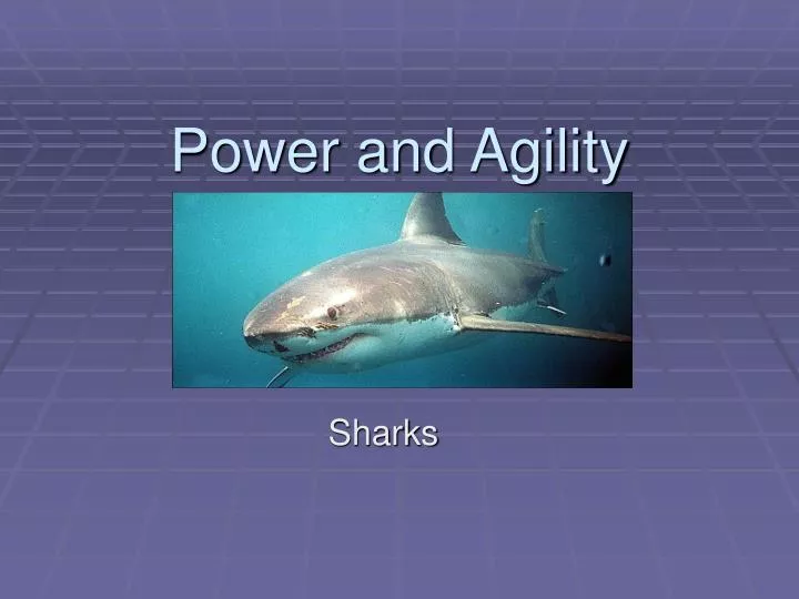 PPT - Power and Agility PowerPoint Presentation, free download - ID:6203097 PPT - Power and Agility PowerPoint Presentation, free download - ID:6203097