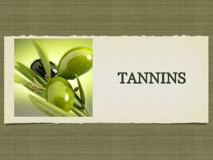 PPT - TANNINS PowerPoint Presentation - ID:6203109