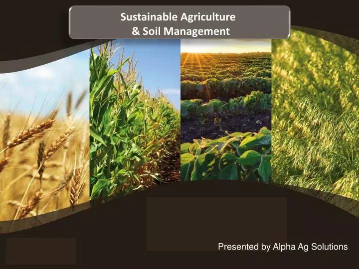 PPT - Sustainable Agriculture & Soil Management PowerPoint Presentation ...