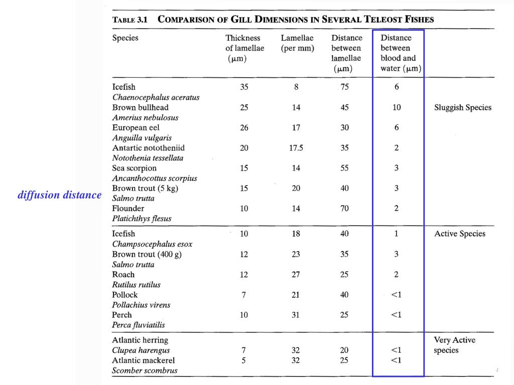 PPT - Aquatic Physiology Respiration gill diffusion hemoglobin pH ...