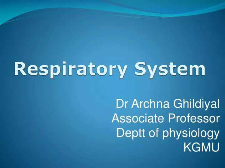 PPT - Respiratory System PowerPoint Presentation, free download - ID ...