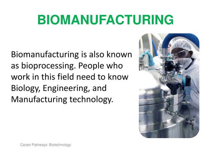 PPT - BIOMANUFACTURING PowerPoint Presentation - ID:6206763