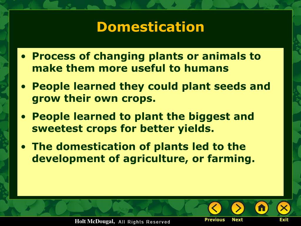 PPT - Stone Age and Early Cultures PowerPoint Presentation, free ...