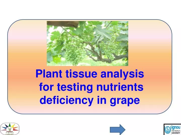 PPT - Plant tissue analysis for testing nutrients deficiency in grape ...