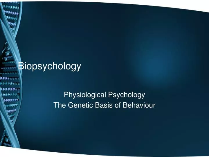 PPT - Biopsychology PowerPoint Presentation, free download - ID:6208854