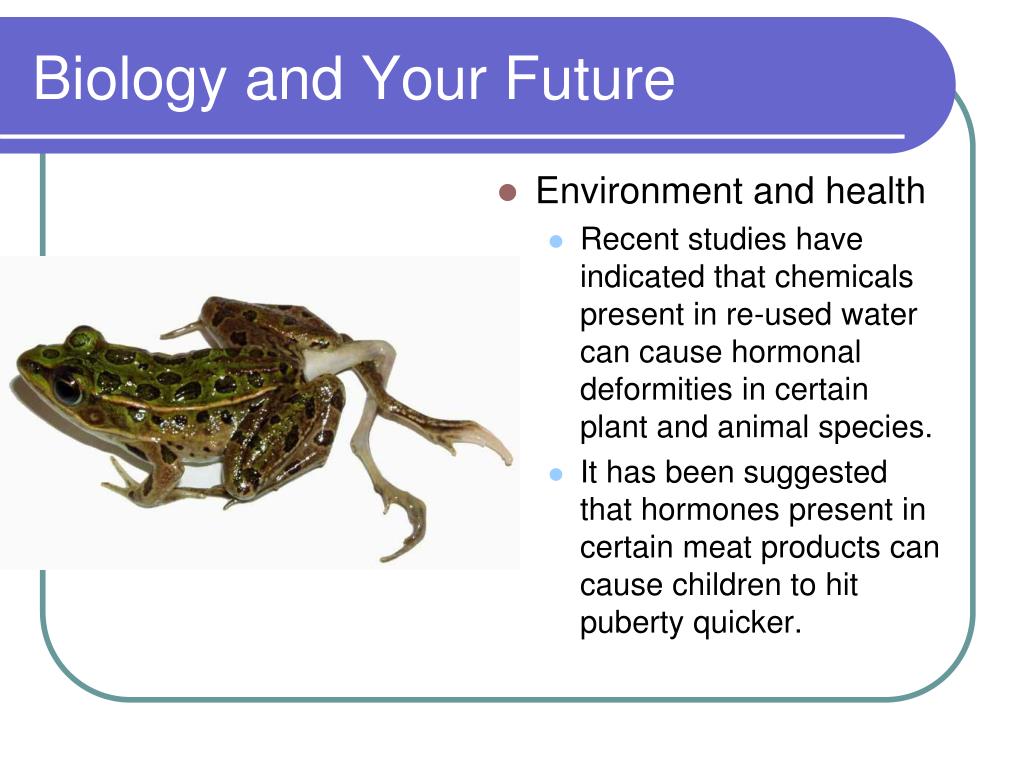 PPT - Biology in the 21 st Century PowerPoint Presentation, free ...