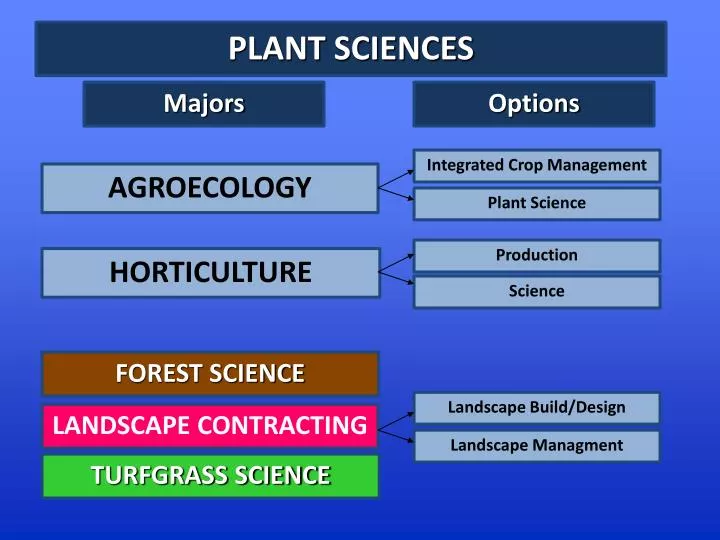 PPT - PLANT SCIENCES PowerPoint Presentation, free download - ID:6210523