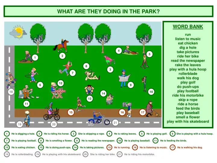 PPT - WHAT ARE THEY DOING IN THE PARK? PowerPoint Presentation, free ...
