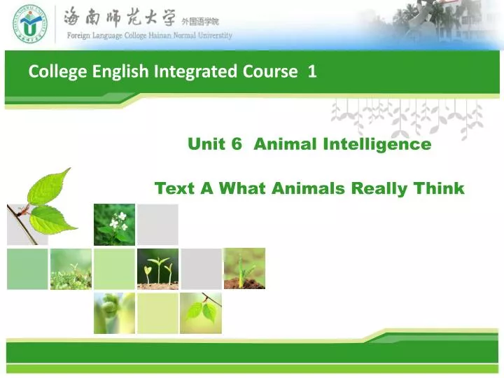 PPT - College English Integrated Course 1 PowerPoint Presentation, free ...