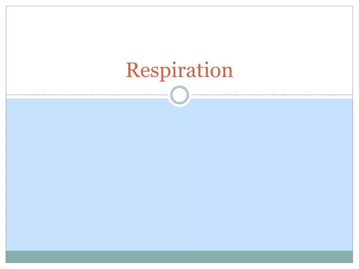 PPT - Respiration PowerPoint Presentation, free download - ID:6215465
