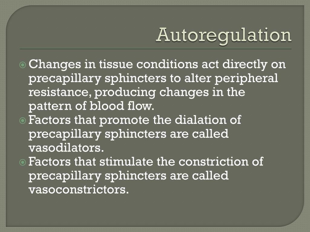 PPT - Cardiovascular System: Blood Vessels and Circulation PowerPoint ...