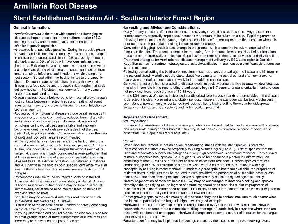 PPT - Forest Pathology Update : Issues and Projects in the Southern ...