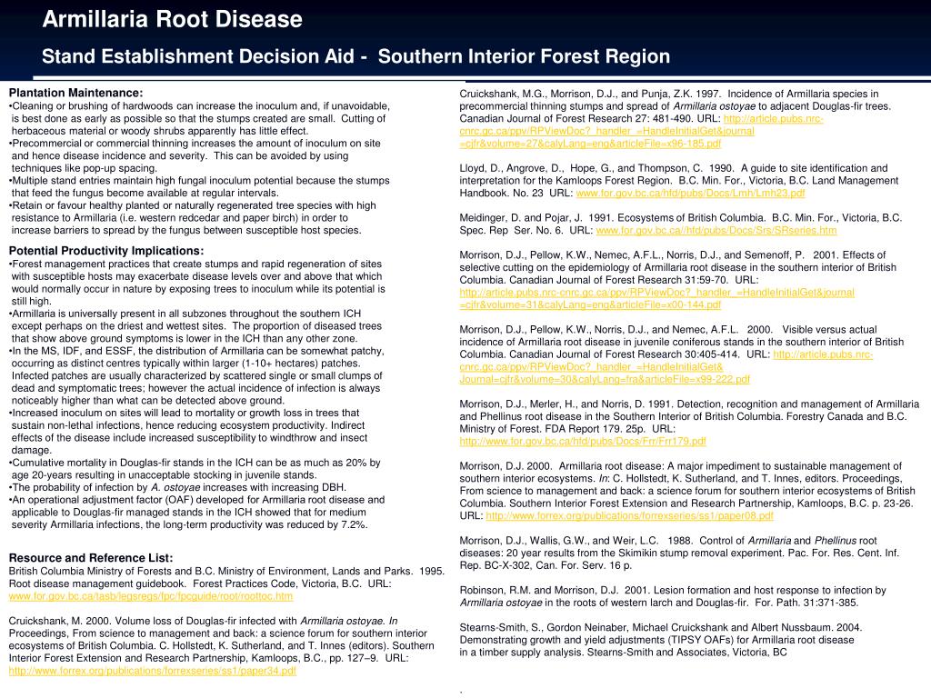 PPT - Forest Pathology Update : Issues and Projects in the Southern ...
