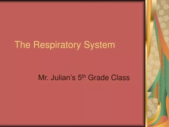PPT - The Respiratory System PowerPoint Presentation, free download ...