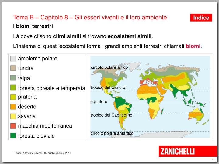 PPT - Le basi dell’ecologia PowerPoint Presentation - ID:6218914