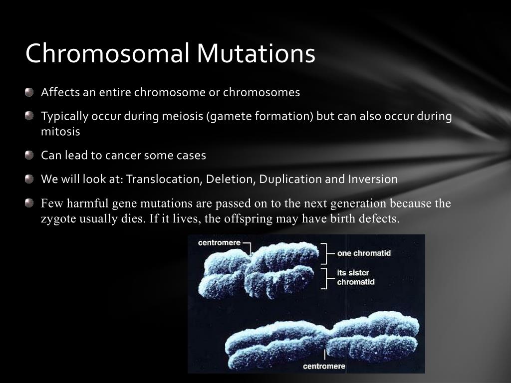Ppt Chromosomal Mutations Powerpoint Presentation Free Download Id