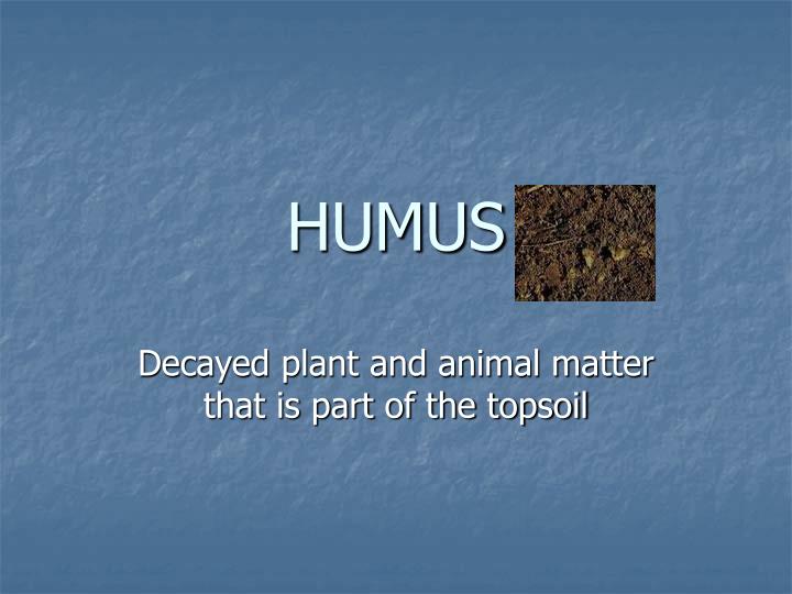 PPT - Biology Vocabulary PowerPoint Presentation - ID:6220130