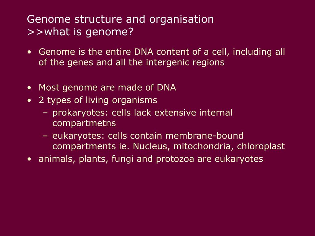 PPT - Agricultural Molecular Biology 555522 PowerPoint Presentation ...