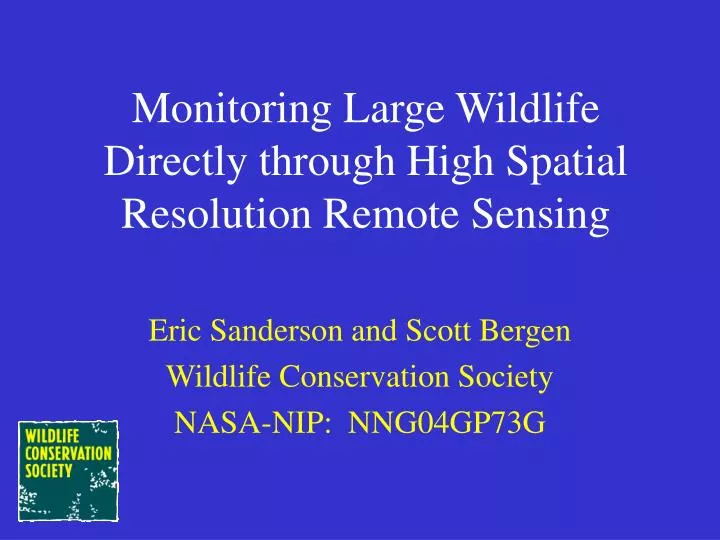 PPT - Monitoring Large Wildlife Directly through High Spatial ...