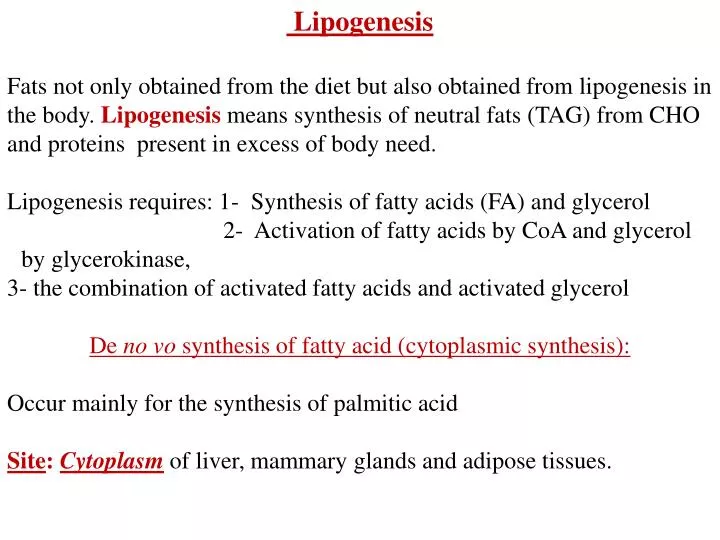 PPT - Lipogenesis PowerPoint Presentation, free download - ID:6222875