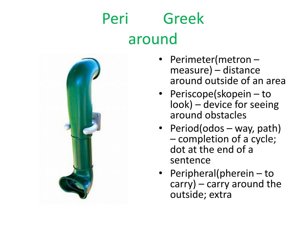 PPT - Exploring Greek and Latin Roots: Key Vocabulary and Their ...