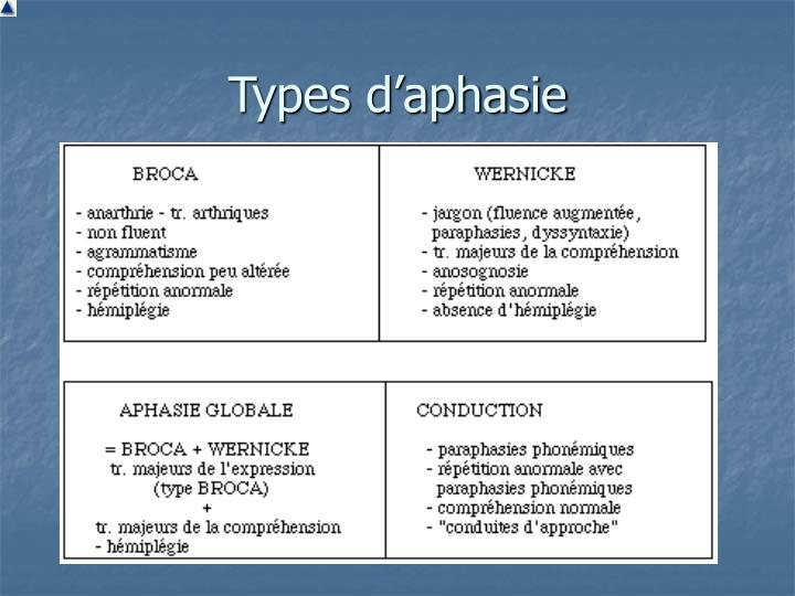 PPT - Introduction neurologie PowerPoint Presentation - ID:6224379